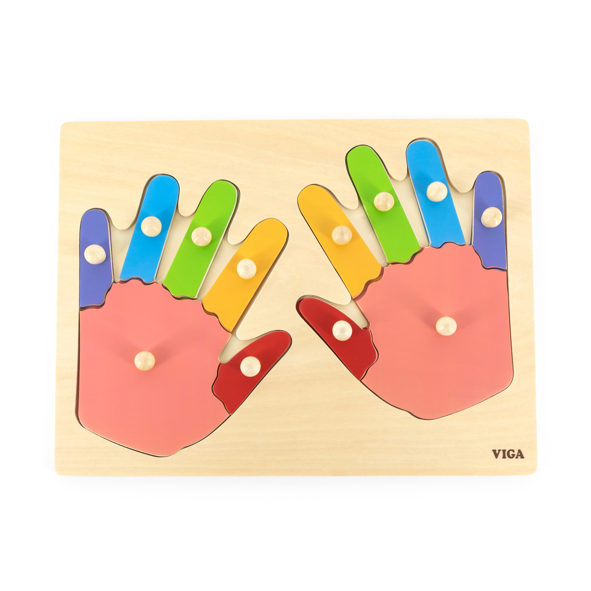 Viga Hands & Fingers, 12 Piece Knob Puzzle, Montessori Wooden Toy, Dev ...